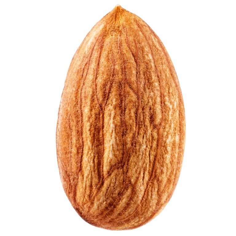 Whole Natural Almonds by the pound or bulk | LorentaNuts.com