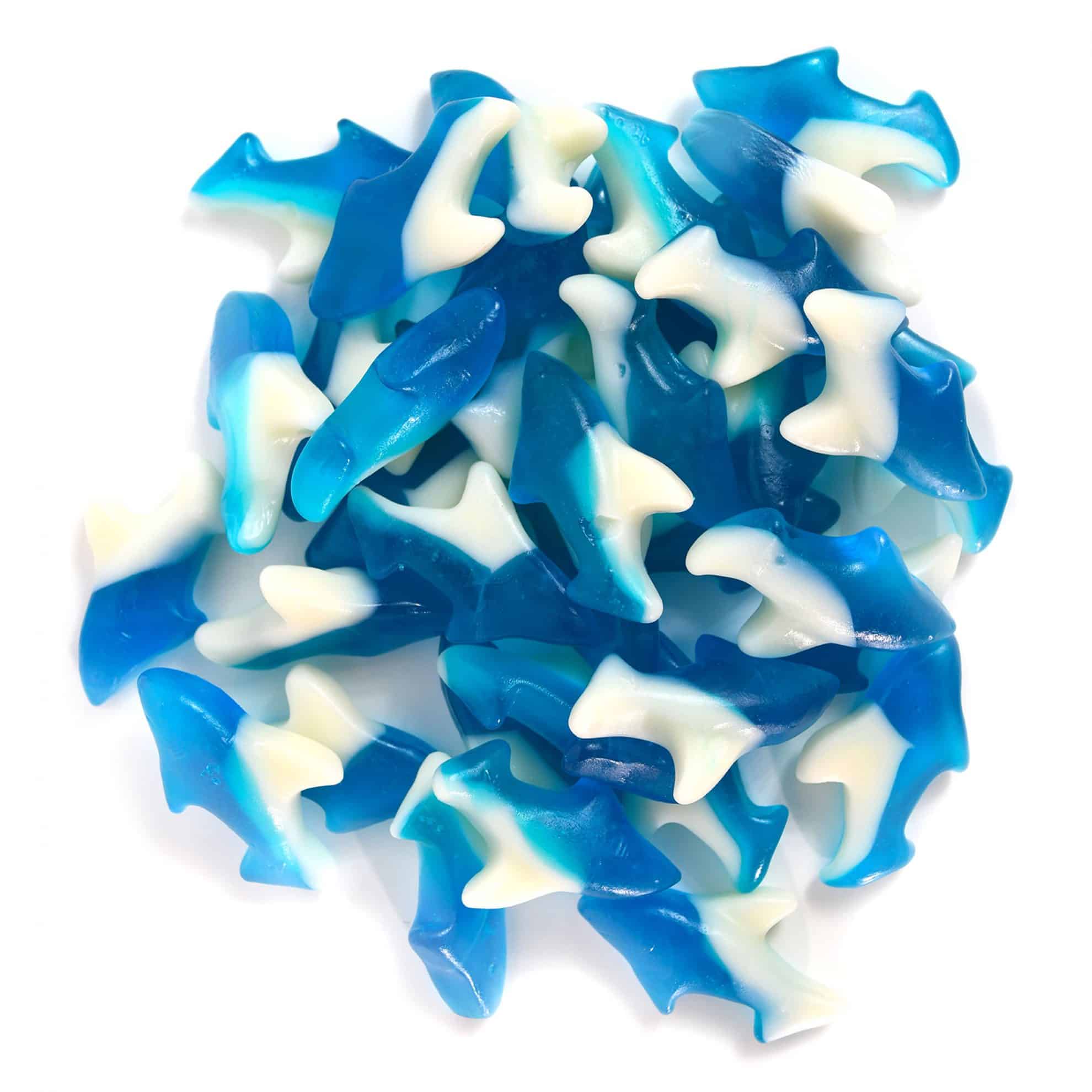 Raspberry Blue Shark Gummies Candy | LorentaNuts.com