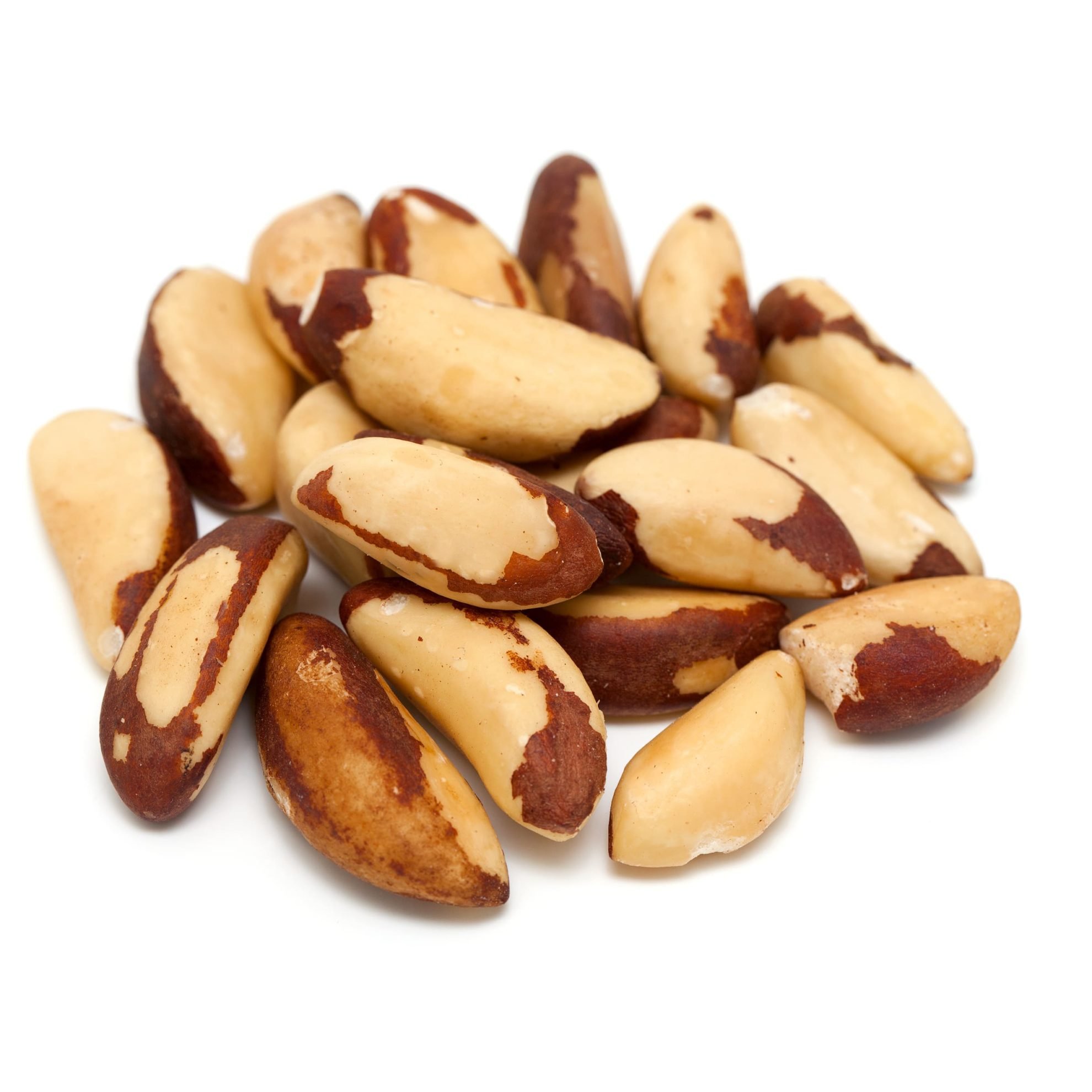Natural Brazil Nuts by the pound or in bulk | LorentaNuts.com