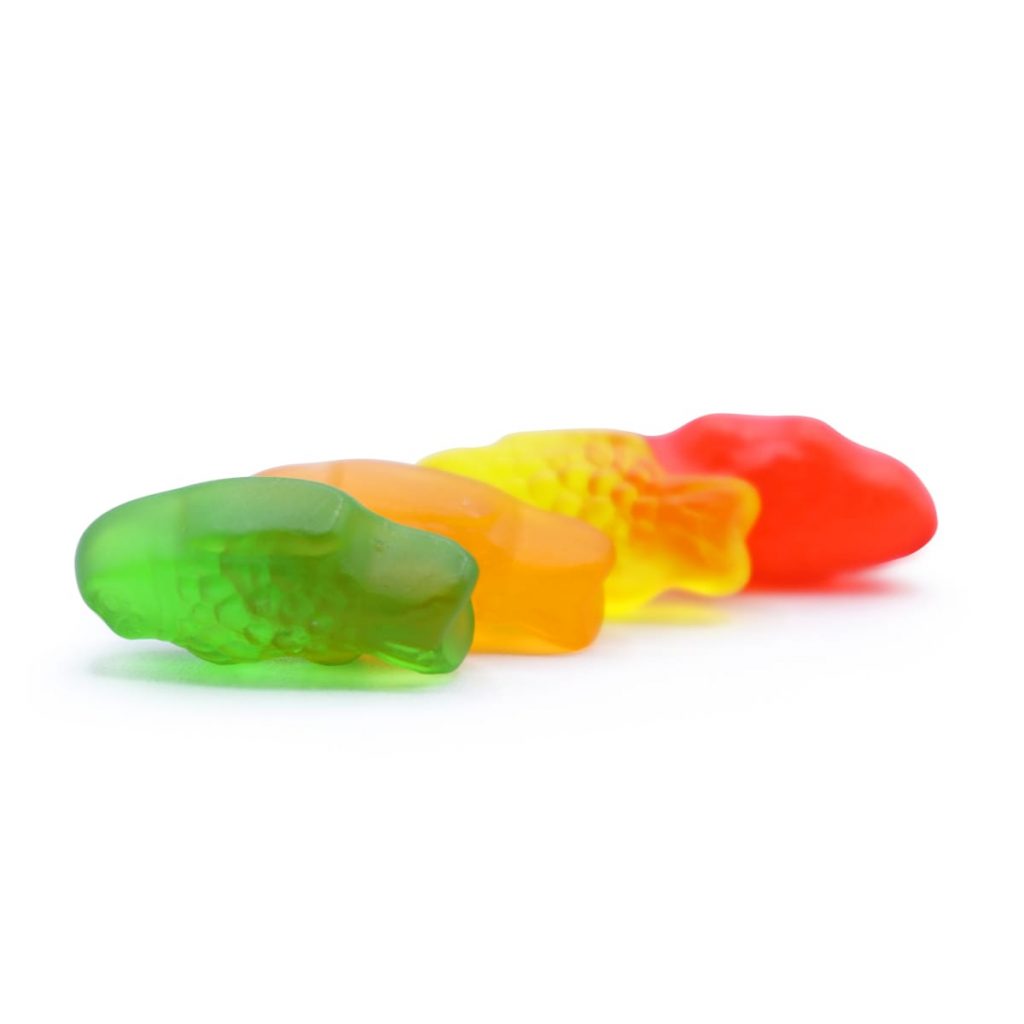 Gummy Candy Assorted Mini Fish fresh by the pound | LorentaNuts.com