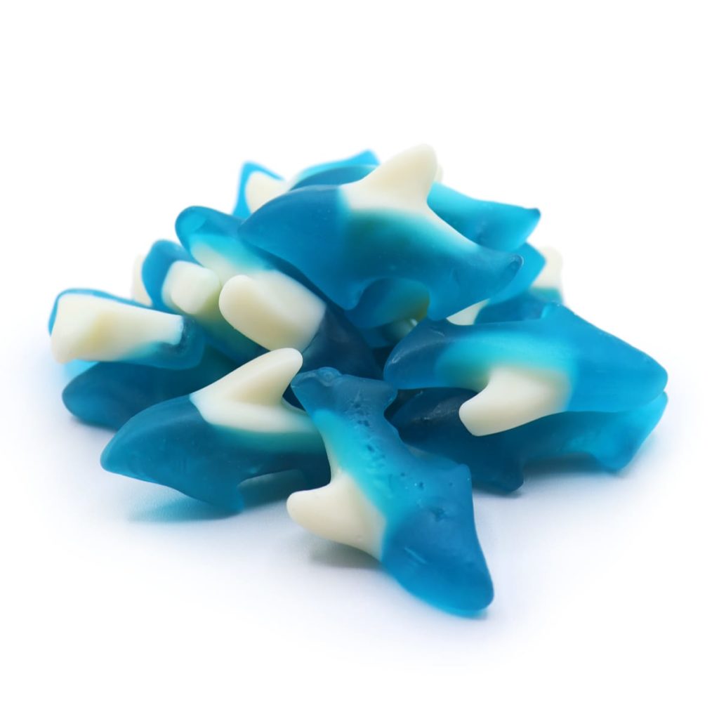 Raspberry Blue Shark Gummies Candy | LorentaNuts.com