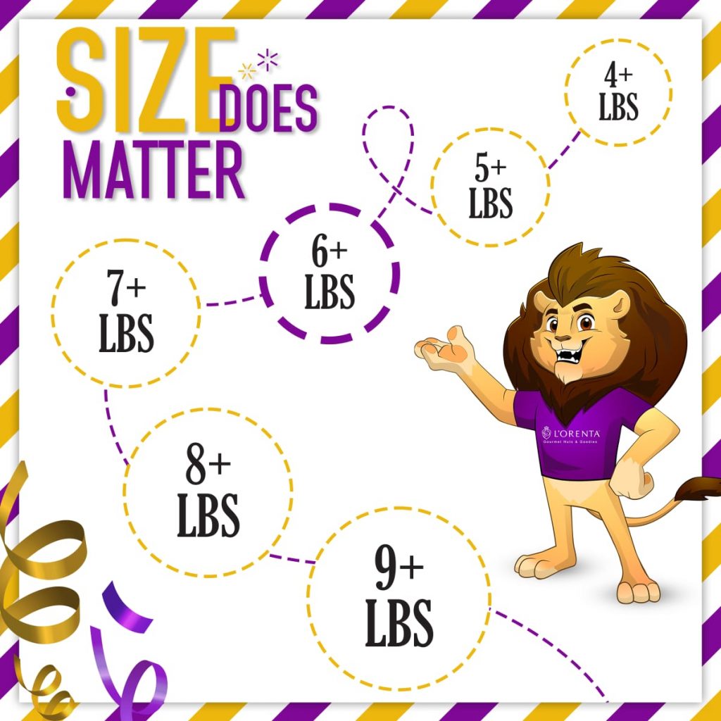 Fruit and Nut Combo | LorentaNuts.com