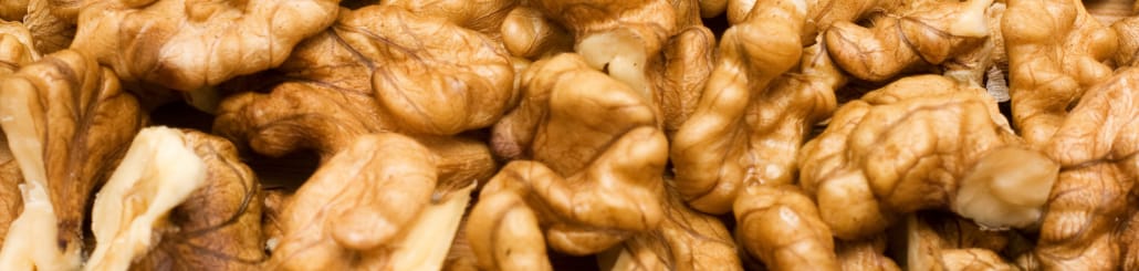 A Guide to Walnuts | LorentaNuts.com