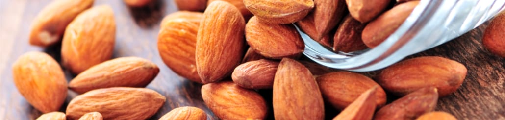 A Guide to Yogurt-Covered Almonds | LorentaNuts.com