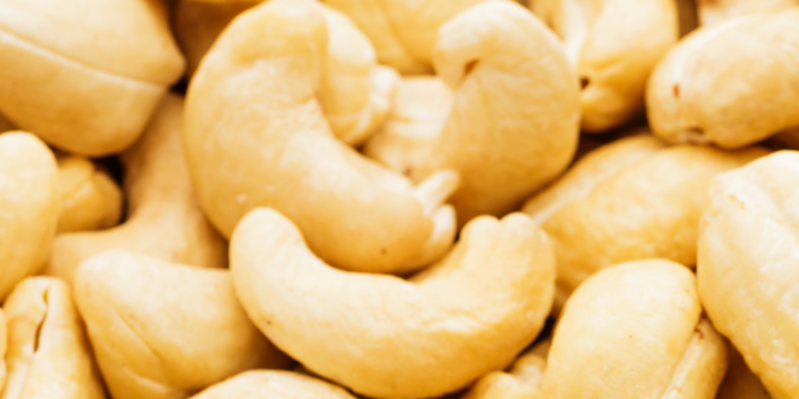 15 Fun Facts About Cashews | LorentaNuts.com