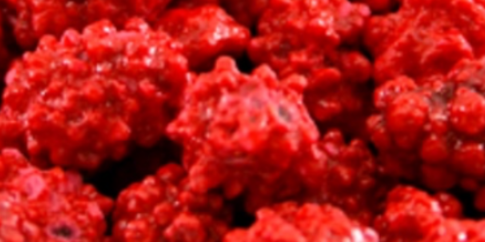 French Burnt Peanuts Explained | LorentaNuts.com