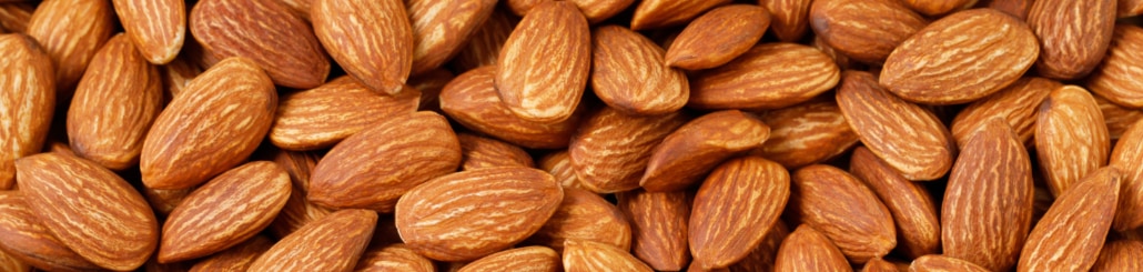 A Guide to Natural Almonds - 12 Facts | LorentaNuts.com