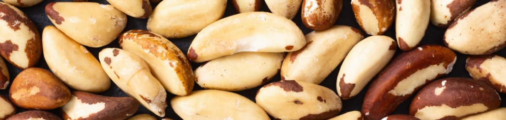 A Guide to Brazil Nuts | LorentaNuts.com