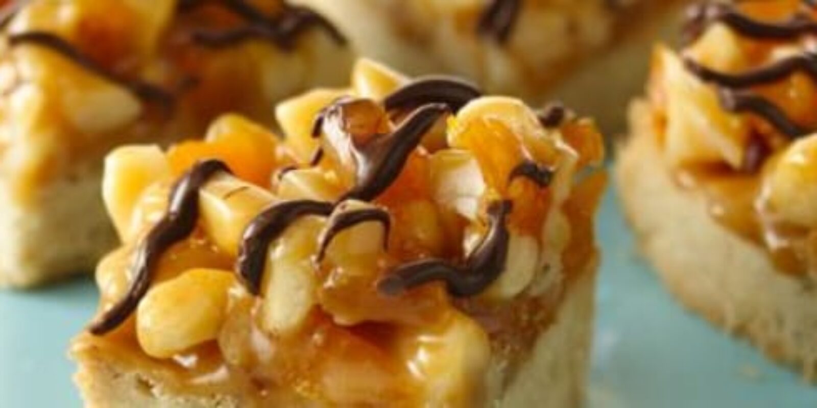 Apricot and Macadamia Squares