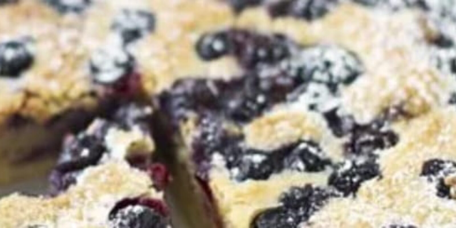 Blueberry Almond Tart | LorentaNuts.com