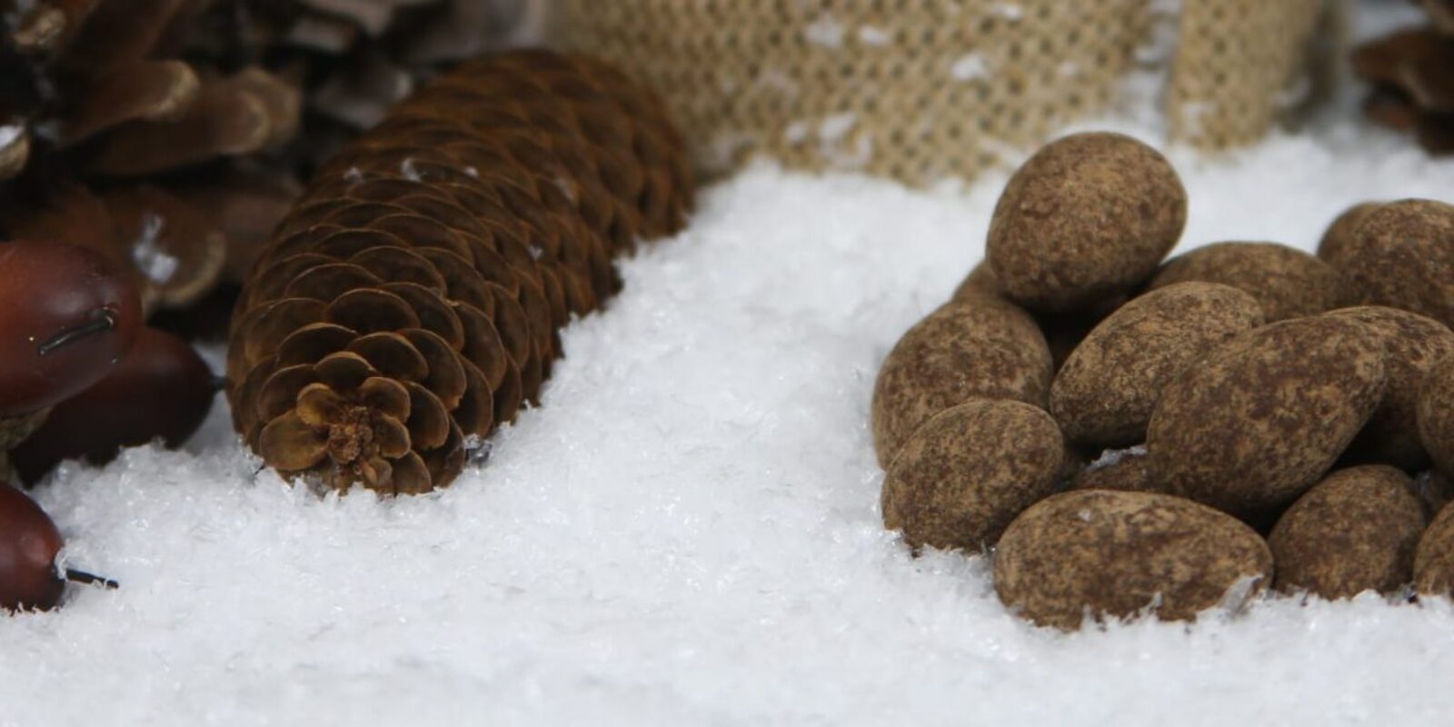 Best 5 Christmas Nuts | LorentaNuts.com
