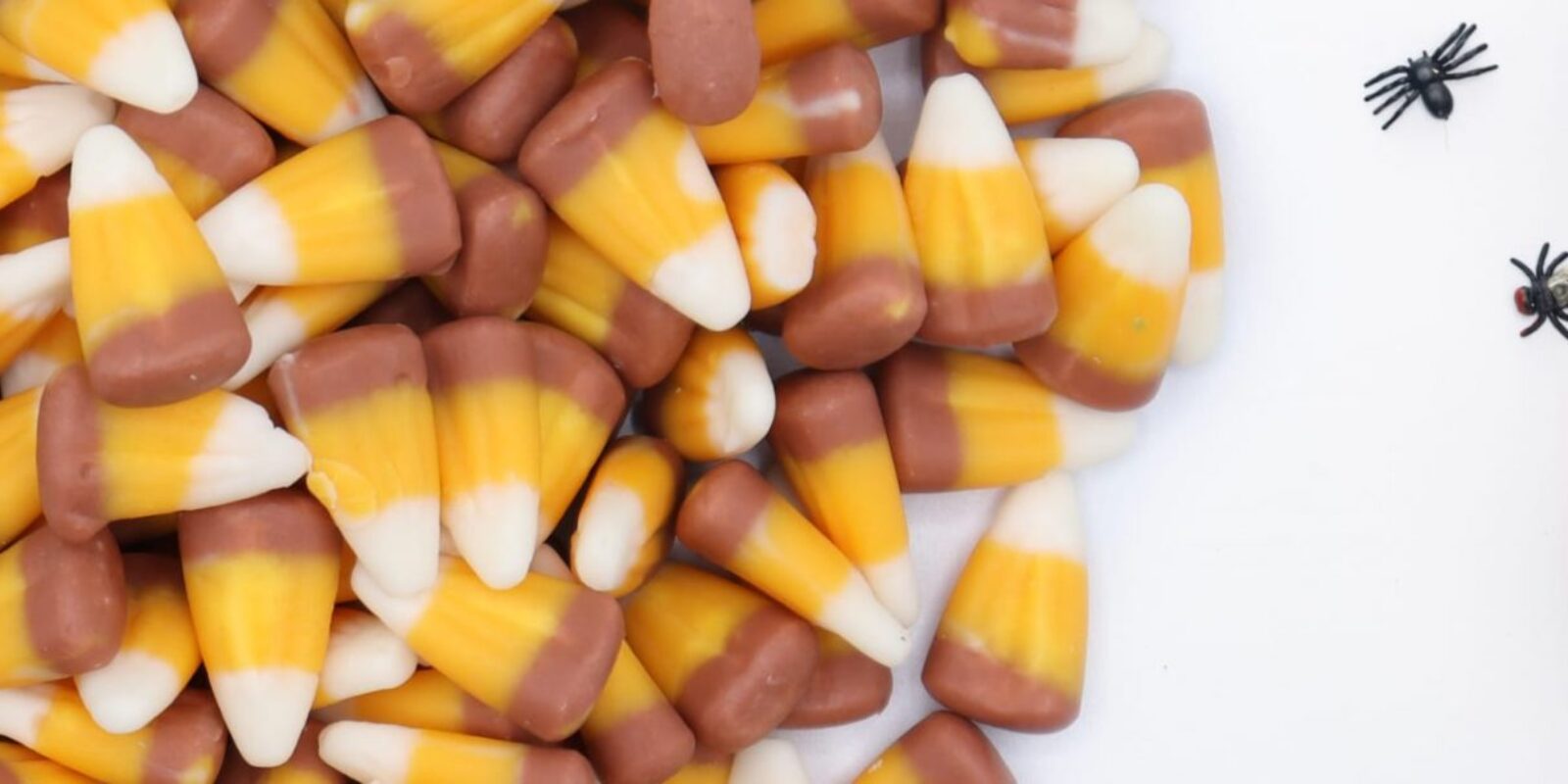 Halloween Candy Corn Explained | LorentaNuts.com