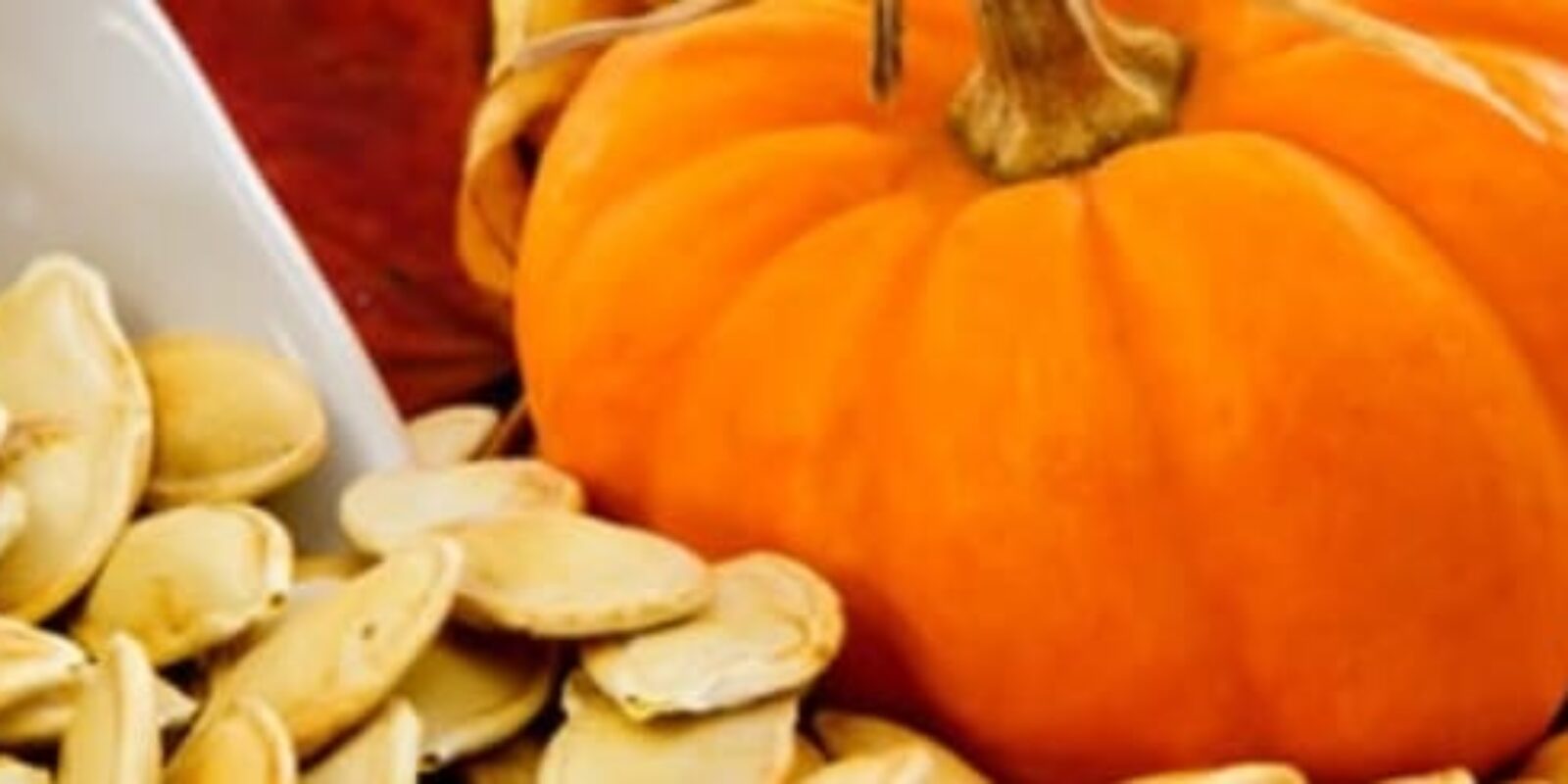 Squash vs Pumpkin Seeds How are They Different? | Lorentanuts.com