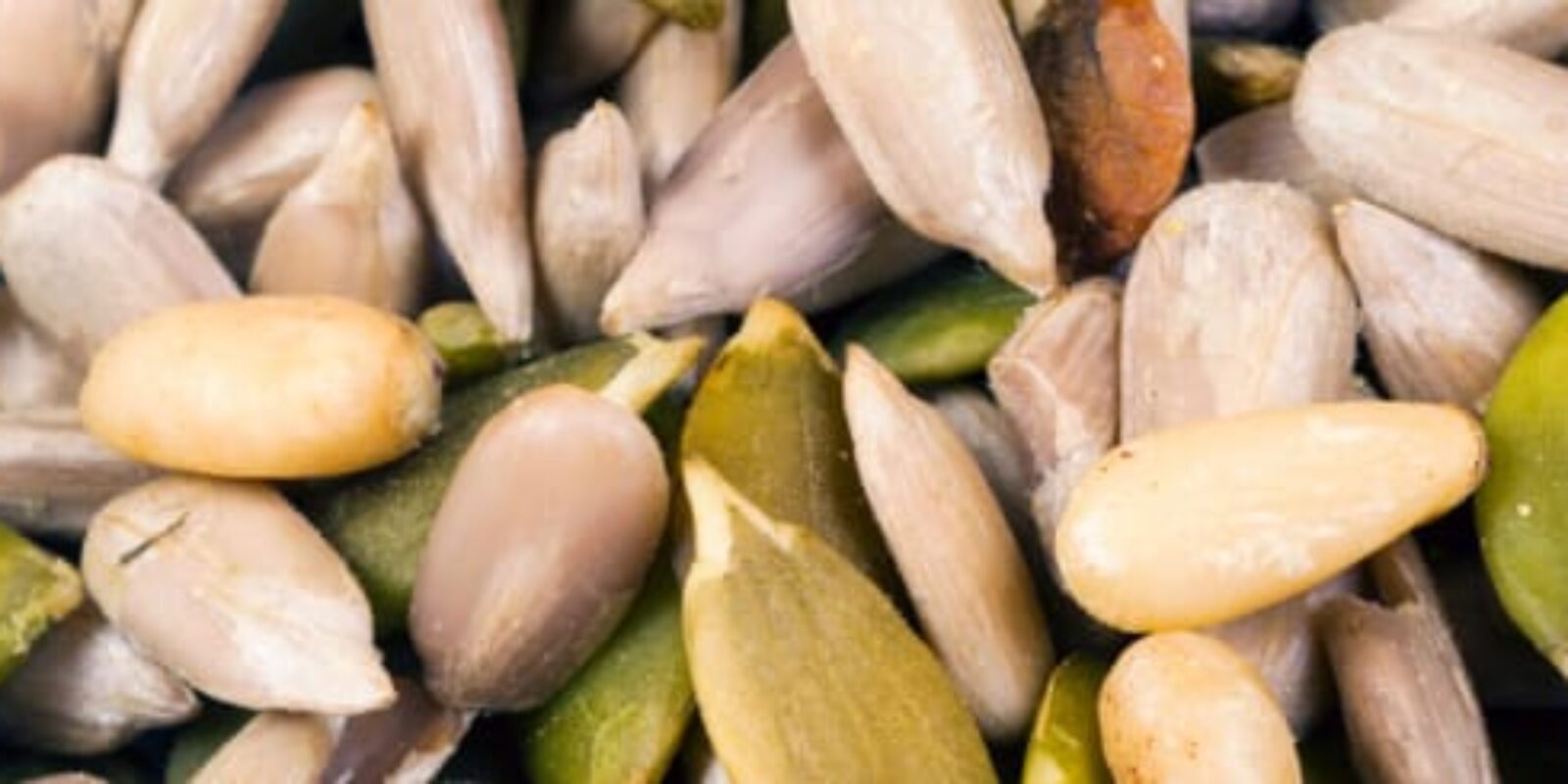 Pumpkin Seeds vs. Sunflower Seeds: Which is Better? | LorentaNuts.com