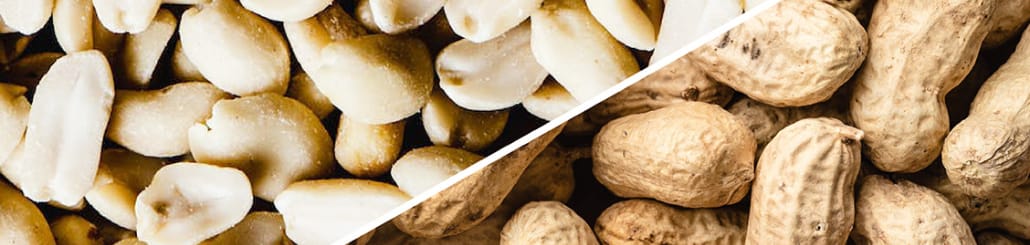 The Cultural Legacy of Peanuts in America | LorentaNuts.com