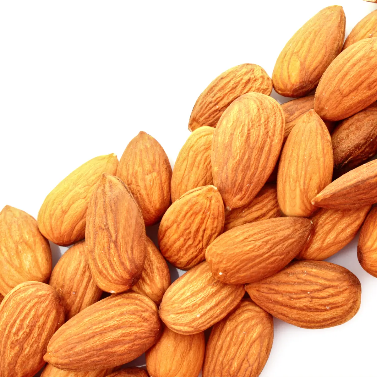 Almonds Roasted and Salted, Natural, Blanched, Sliced | LorentaNuts.com
