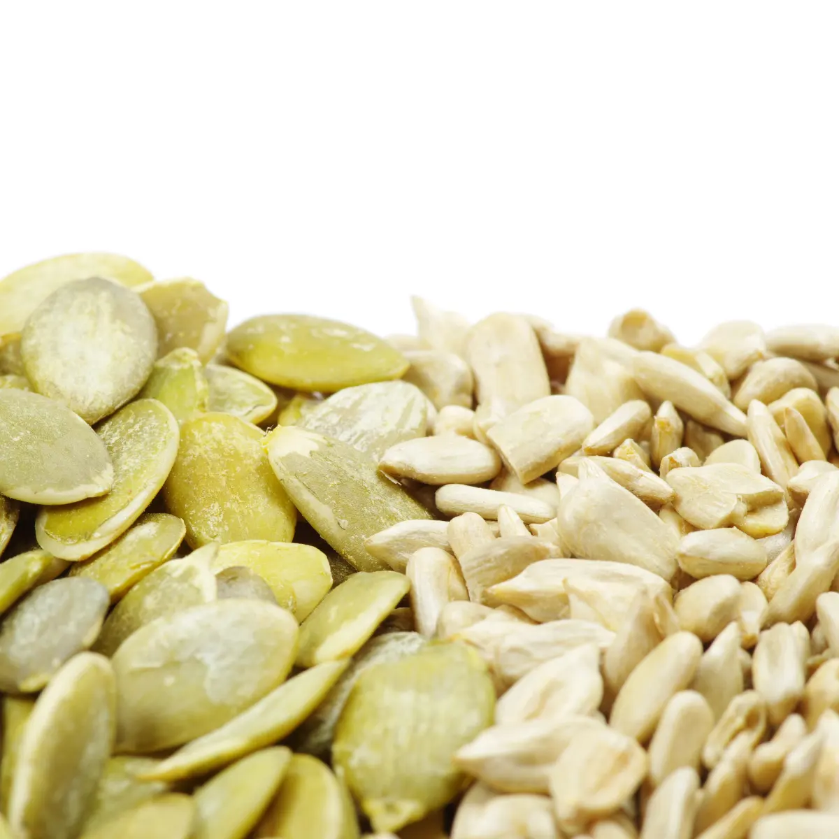 Seed Snacks | Gourmet Seed Snack Mixes | LorentaNuts.com